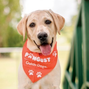 Guide Dogs - Guide Dogs Australia