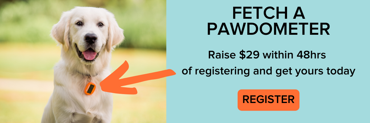 PAWGUST | Guide Dogs Australia